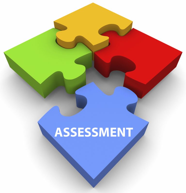 Assessment: What are your Assumptions? – ACSI Europe Blog